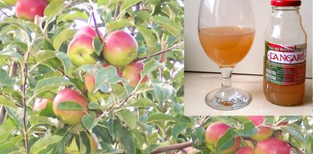 Procedura de curatare a ficatului si a vezicii biliare (Dr. Andreas Moritz)